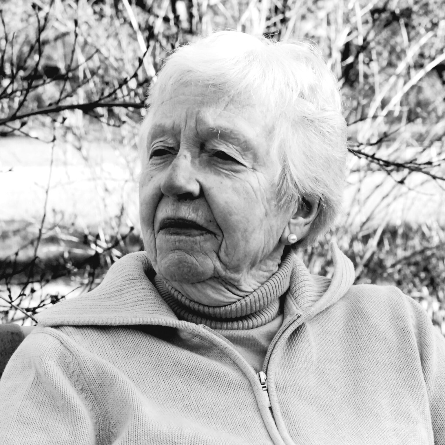 Crafting a Legacy - North Bennet Street School